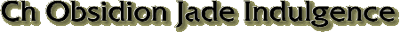 Quom Afghans Website